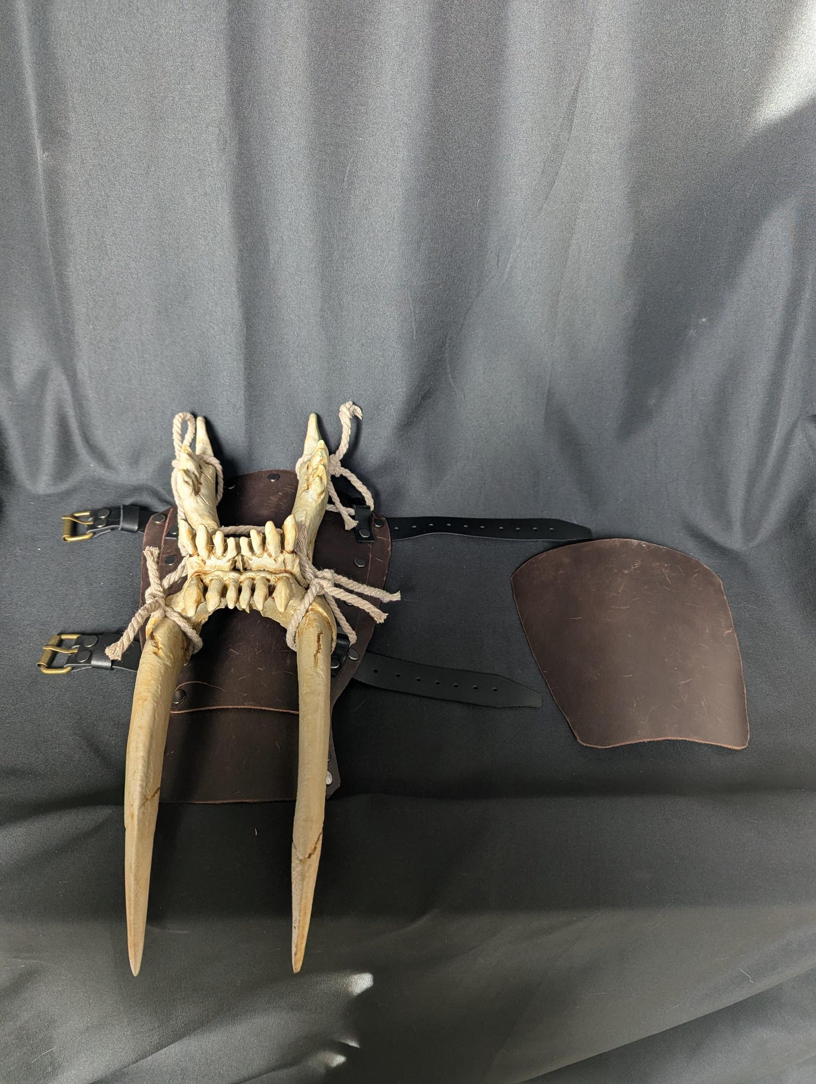 Saber Tooth Jaw Bone Forearm Armor - Etsy