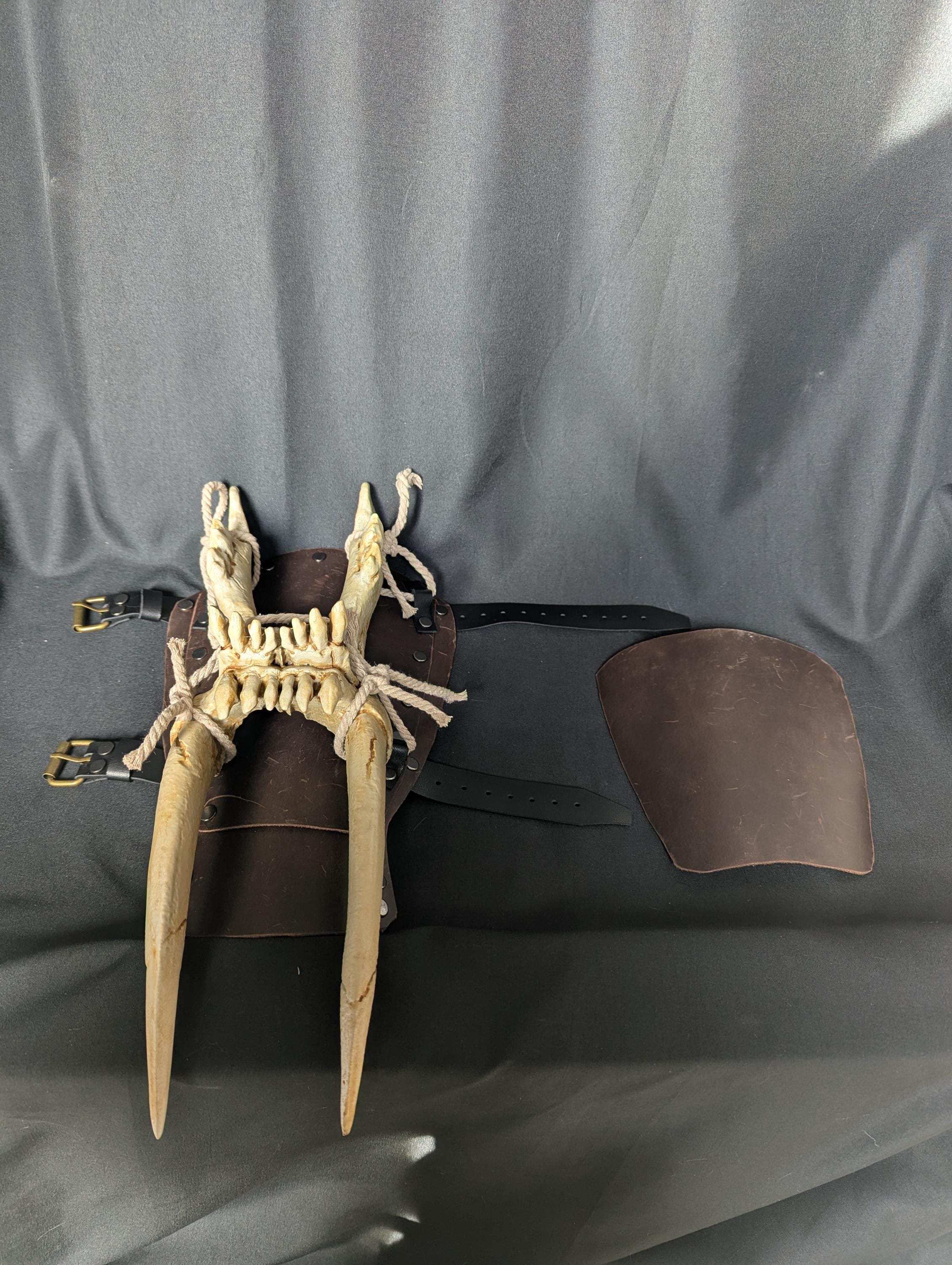 Saber Tooth Jaw Bone Forearm Armor - Etsy