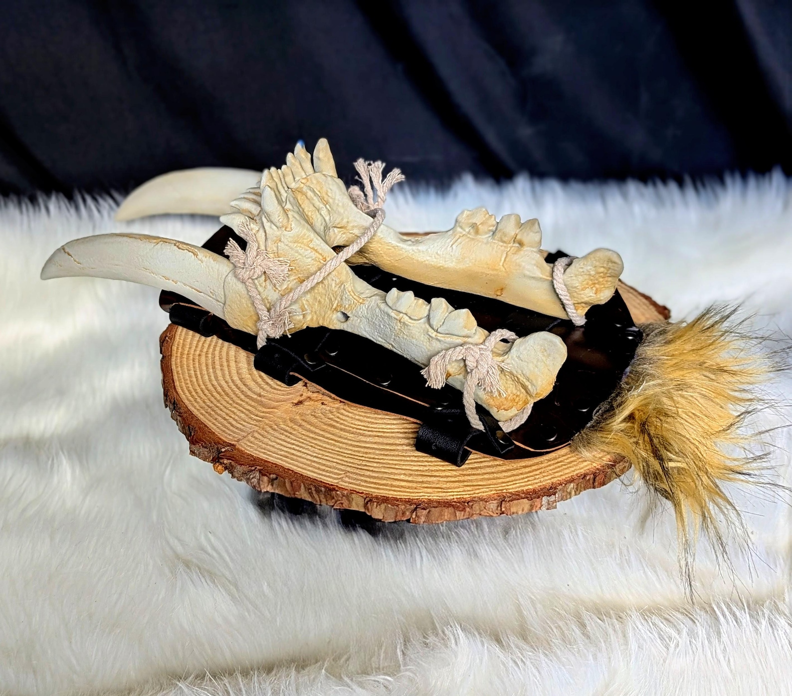 Saber Tooth Jaw Bone Forearm Armor - Etsy