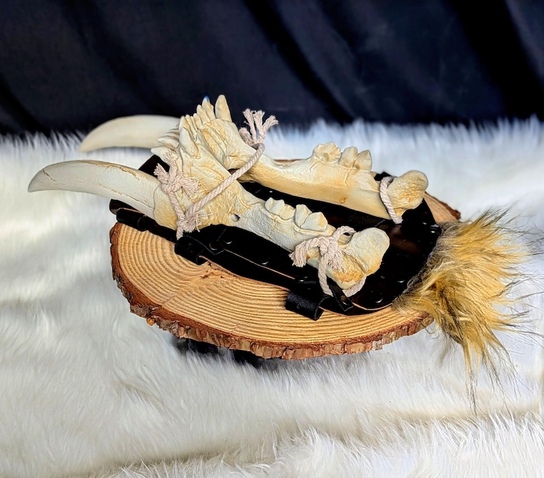Saber Tooth Jaw Bone Forearm Armor - Etsy