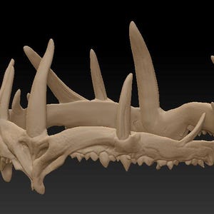 King Roan's Bone Crown STL File - Etsy