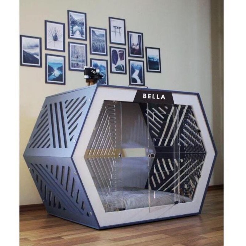 Wlo Wood Dog House - Etsy