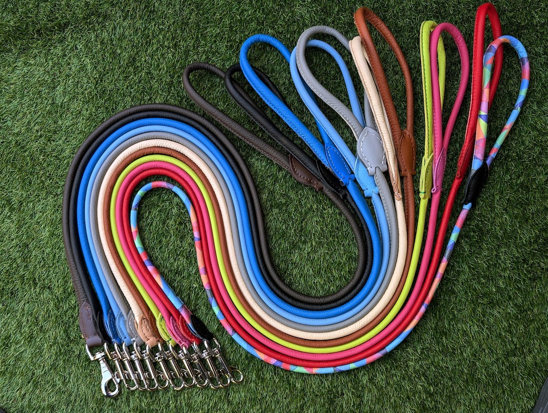 Real Soft Rolled Leather Round Dog Leads Leashes Handmade COLORFUL ...