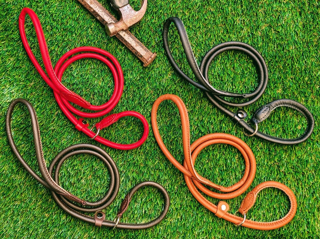 Dog LEADS - Slip CHOKER Real Soft Rolled Leather Round TRAINING Leashes ...