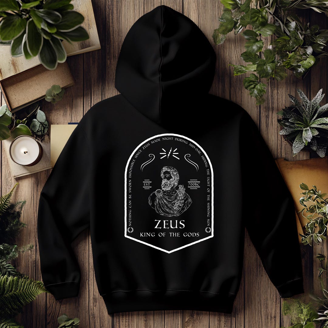 Zeus King of Gods Hoodie, Book Lover Hoodie, Reading Sweatshirt ...