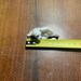 Antique Porcelain Figurine, LFZ Dog Mini. Used. - Etsy