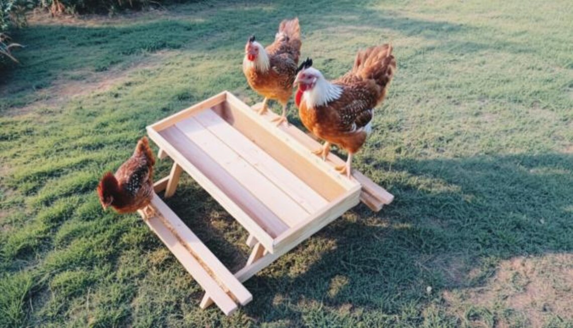 DIY Chicken Picnic Table Plans: Backyard Poultry Project (digital ...