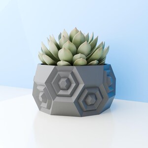 3d Printing Stl File Planter Pot Decoration for Home Idea - Etsy