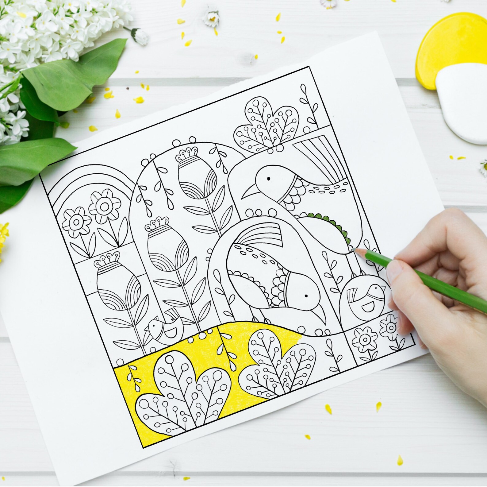 Garden Birds Printable Coloring Page - Etsy