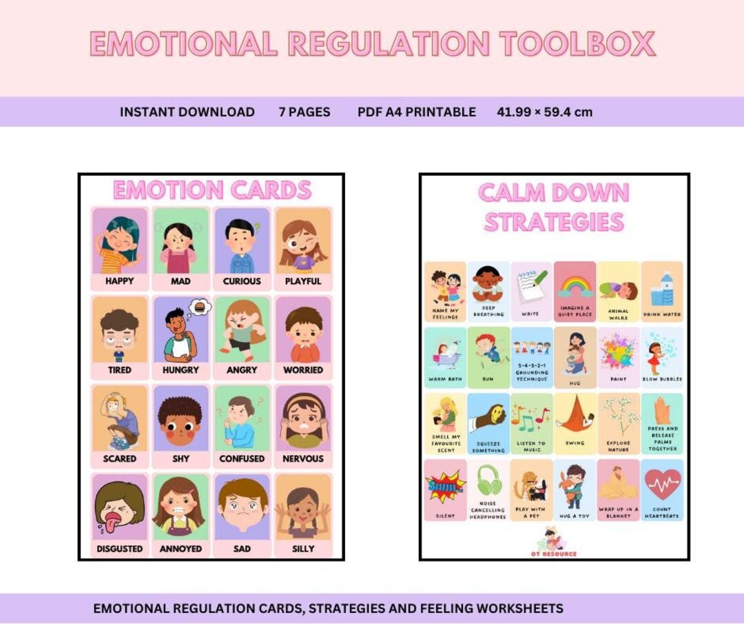 Emotional Regulation Toolkit - Etsy