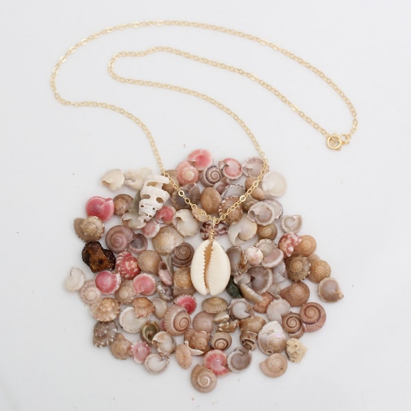 Puca Shell Necklace - Etsy
