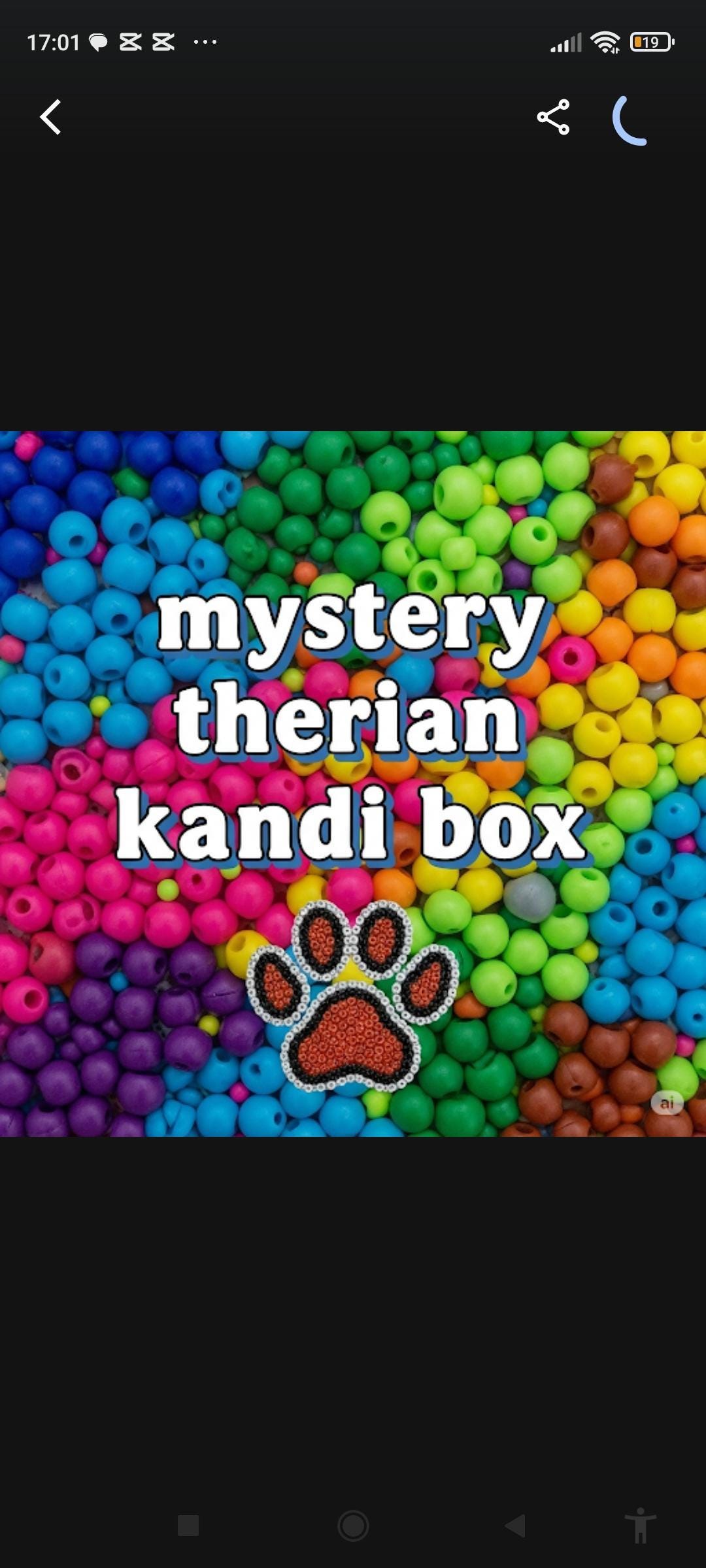 Mystery Therian Kandi Box - Etsy