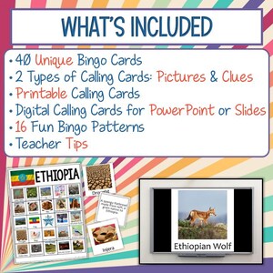 Ethiopia Bingo Game - Printable & Digital - 40 Bingo Cards - Images and ...