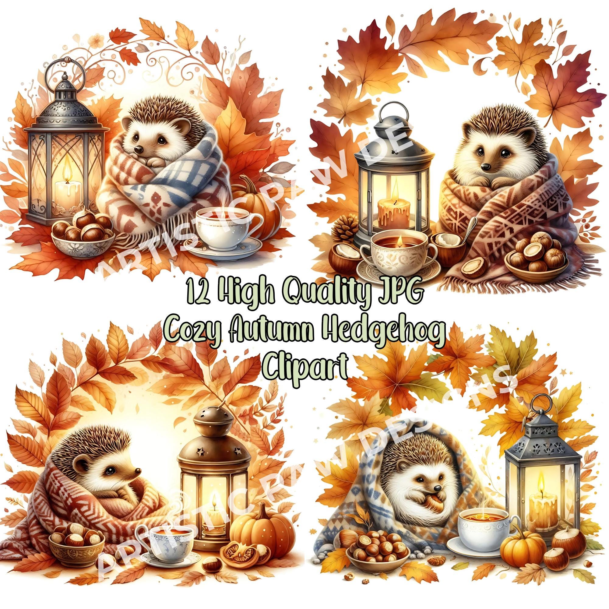 Watercolor Autumn Hedgehog Clipart Woodland Animal Clip Art, Cozy Fall ...