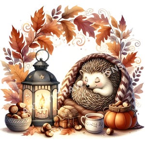 Watercolor Autumn Hedgehog Clipart - Woodland Animal Clip Art, Cozy ...