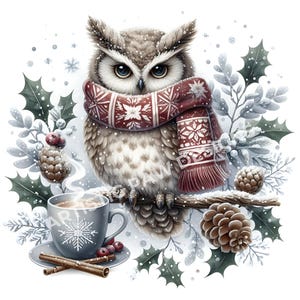 Winter Woodland Owl Clipart, Cute Forest Owl Clipart, Snowy Owl Clipart ...