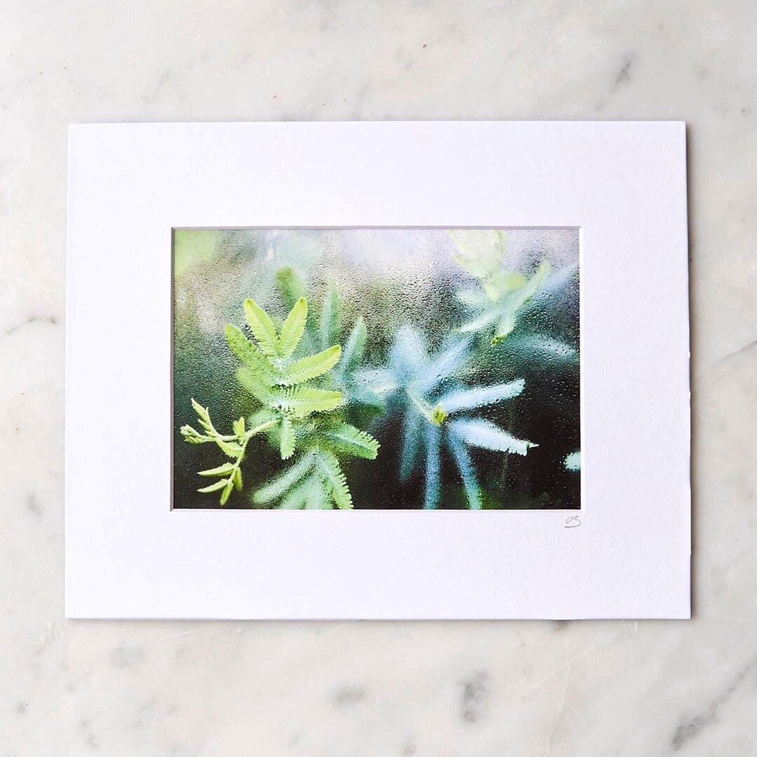 Botanical Greenhouse Photograph, 5x7 Fine Art Print, Green Plants ...