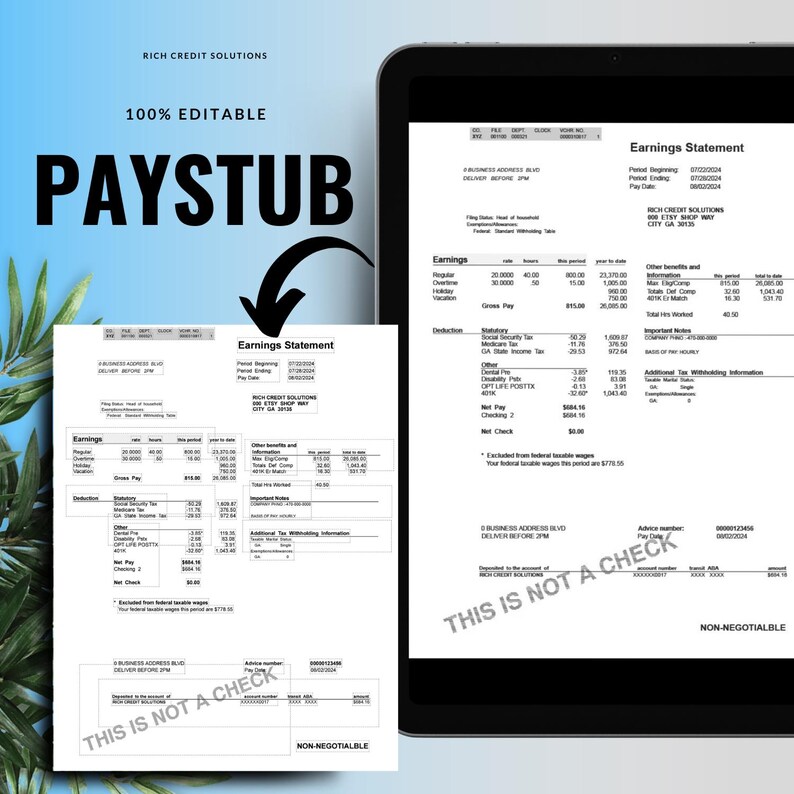 Professional Pay Stub Template for Business Contractors Employees ...