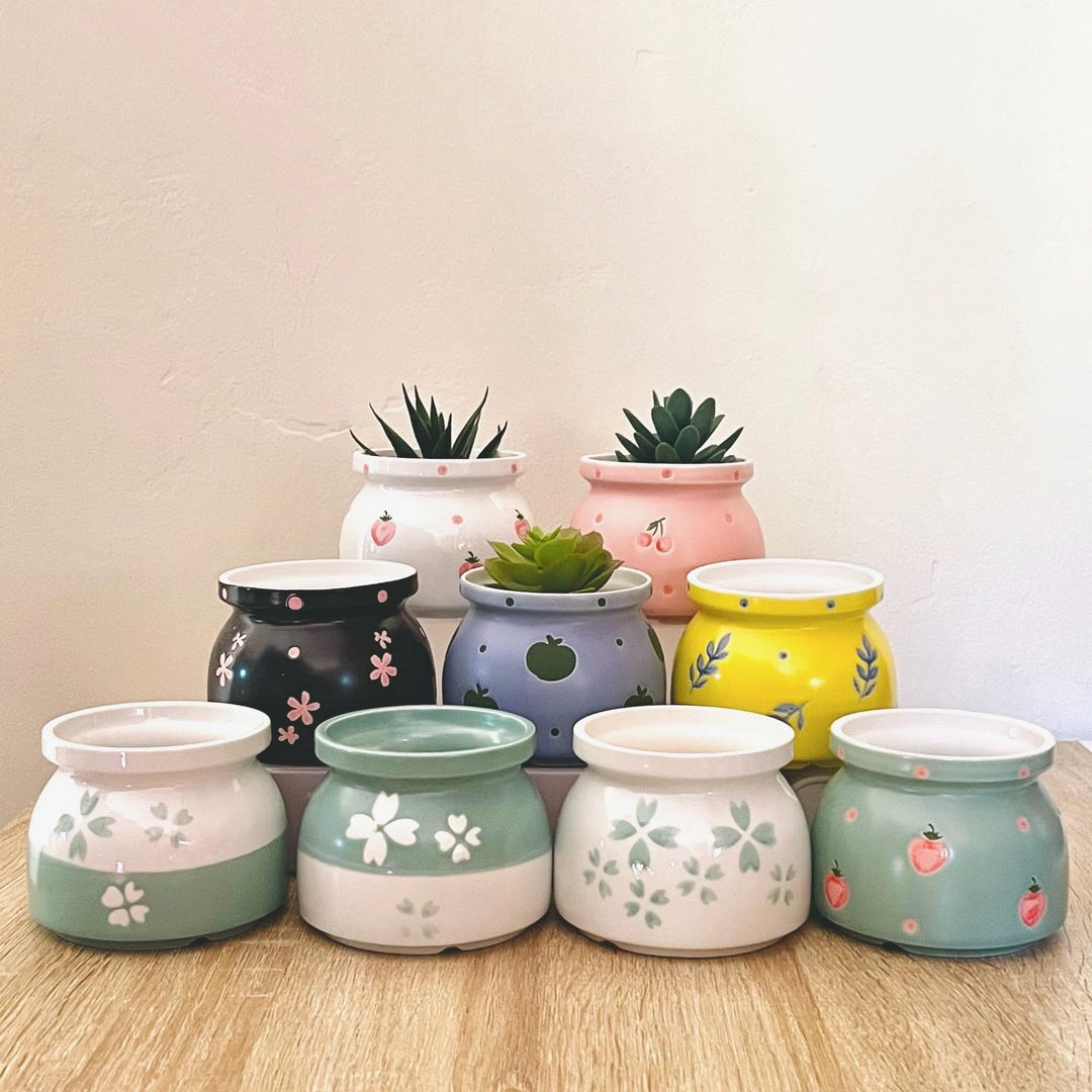 Mystery Box Hand-painted Succulent Pots, Unique Surprise Ceramic ...