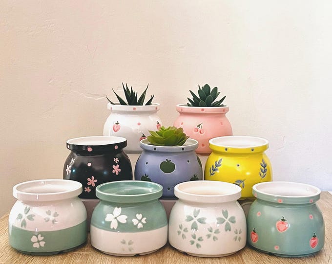Mystery Box Hand-painted Succulent Pots, Unique Surprise Ceramic ...