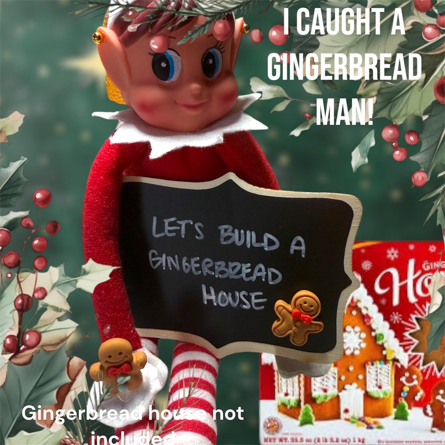 Elf Visit. Elf Prop. Elf Sized Gingerbread Man. Miniature Elf Cookies ...