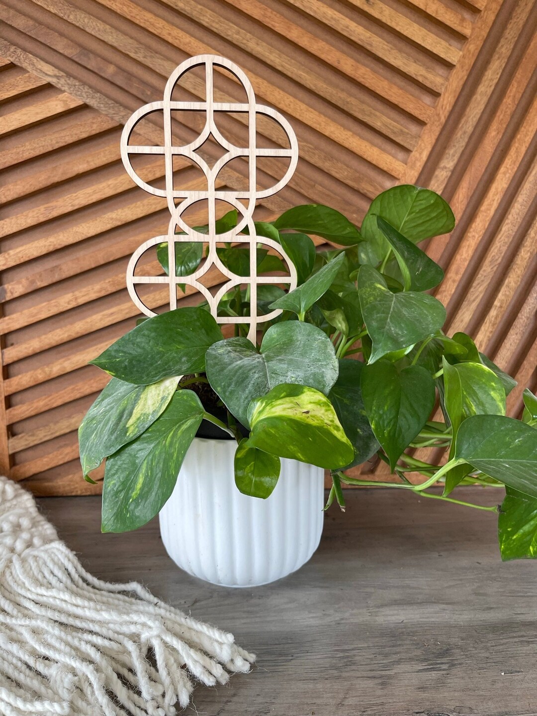 House Plant Trellis Stake Teacher Appreciation Gift Mother’s Day Plant ...