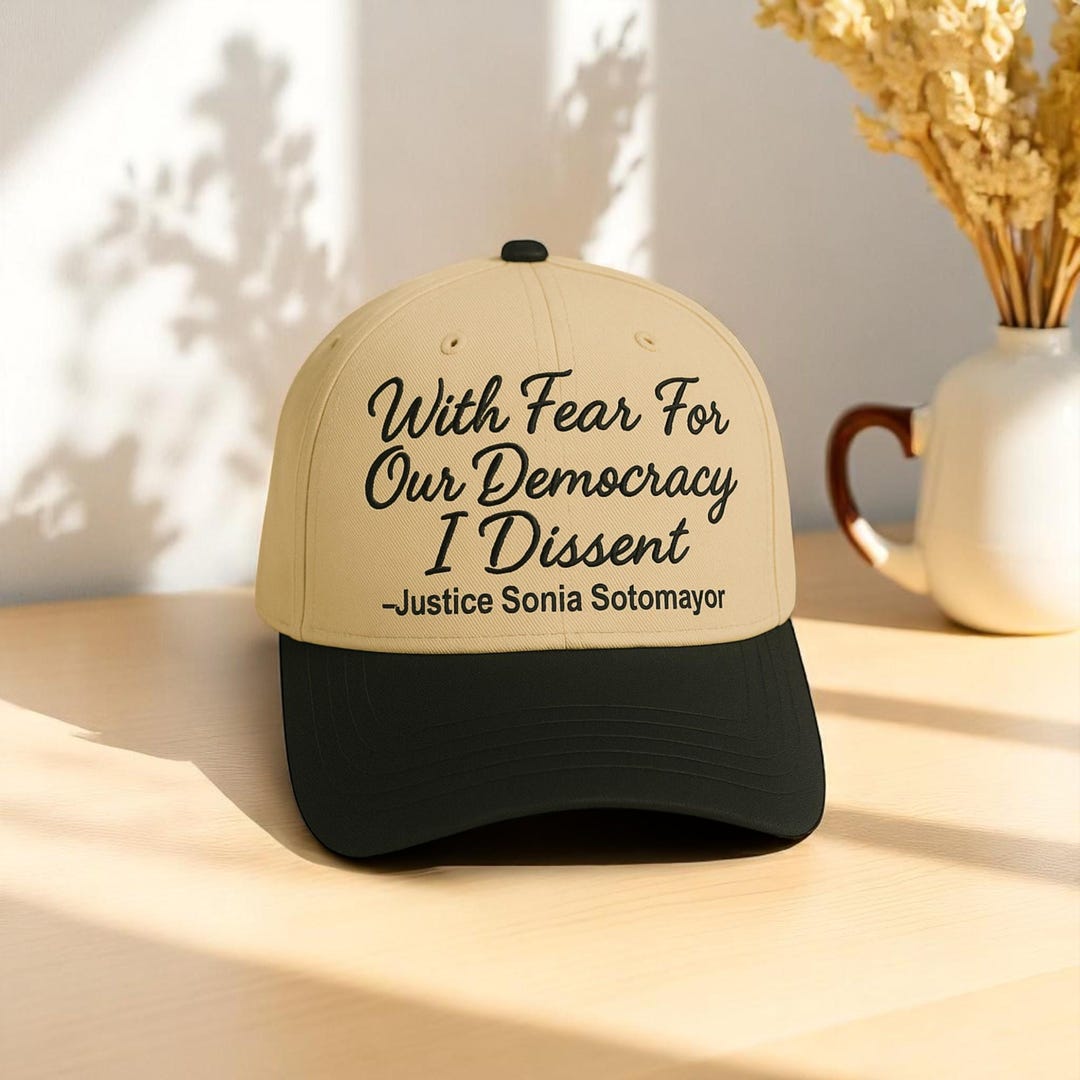 Embroidered Democracy Hat, With Fear for Our Democracy I Dissent Hat ...