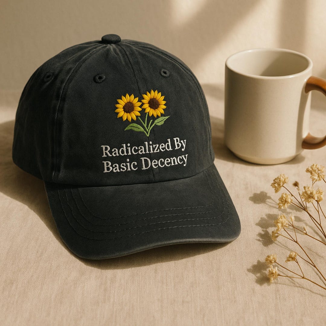 Radicalized by Basic Decency Embroidered Hat, Liberal Accessory ...