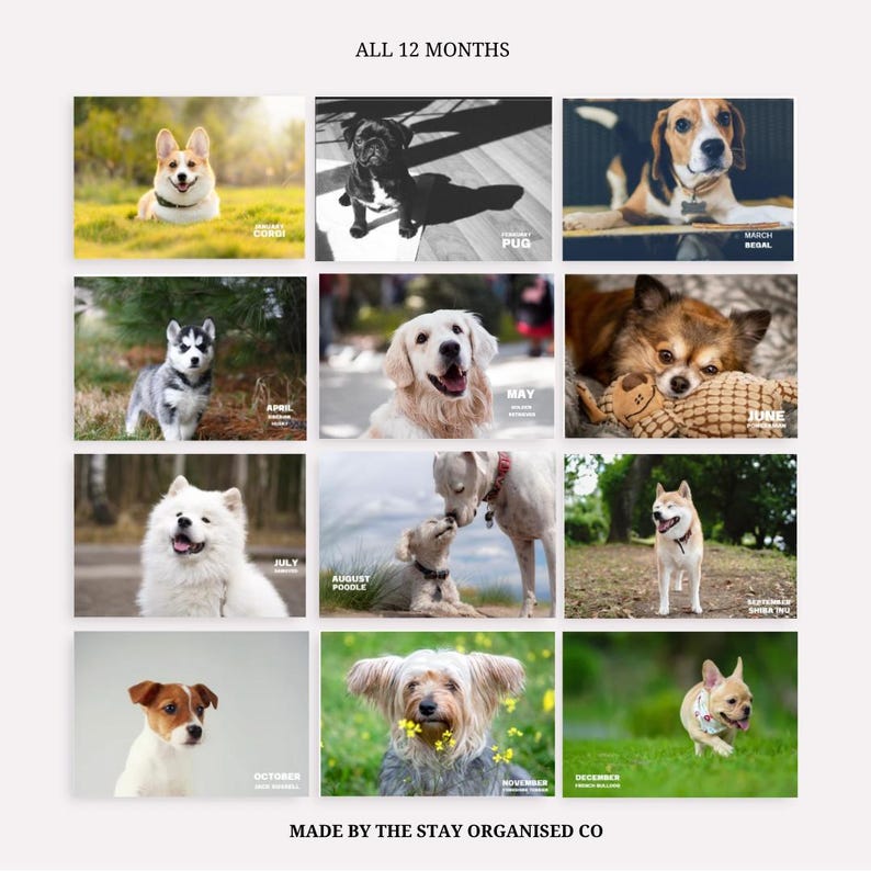 2024 Monthly Calendar - Cute Dog Design, Landscape, Printable Calendar ...