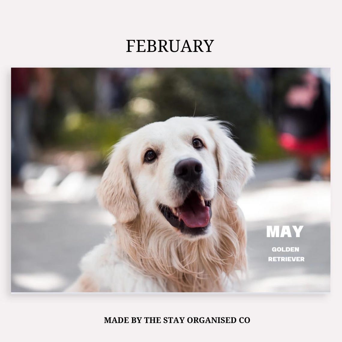 2024 Monthly Calendar - Cute Dog Design, Landscape, Printable Calendar ...