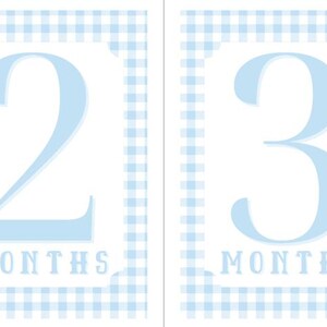 Baby Boy Monthly Milestone Signs, Set of 12, Milestone Cards, Download ...