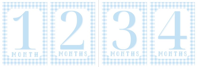 Baby Boy Monthly Milestone Signs, Set of 12, Milestone Cards, Download ...