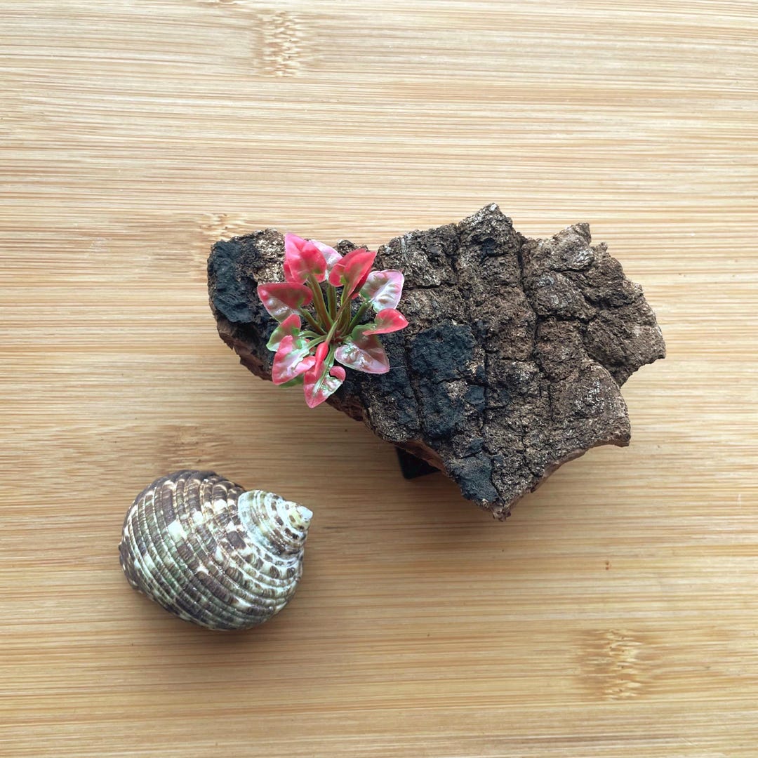 Custom Cork Climbers - Tank Enrichment - Etsy