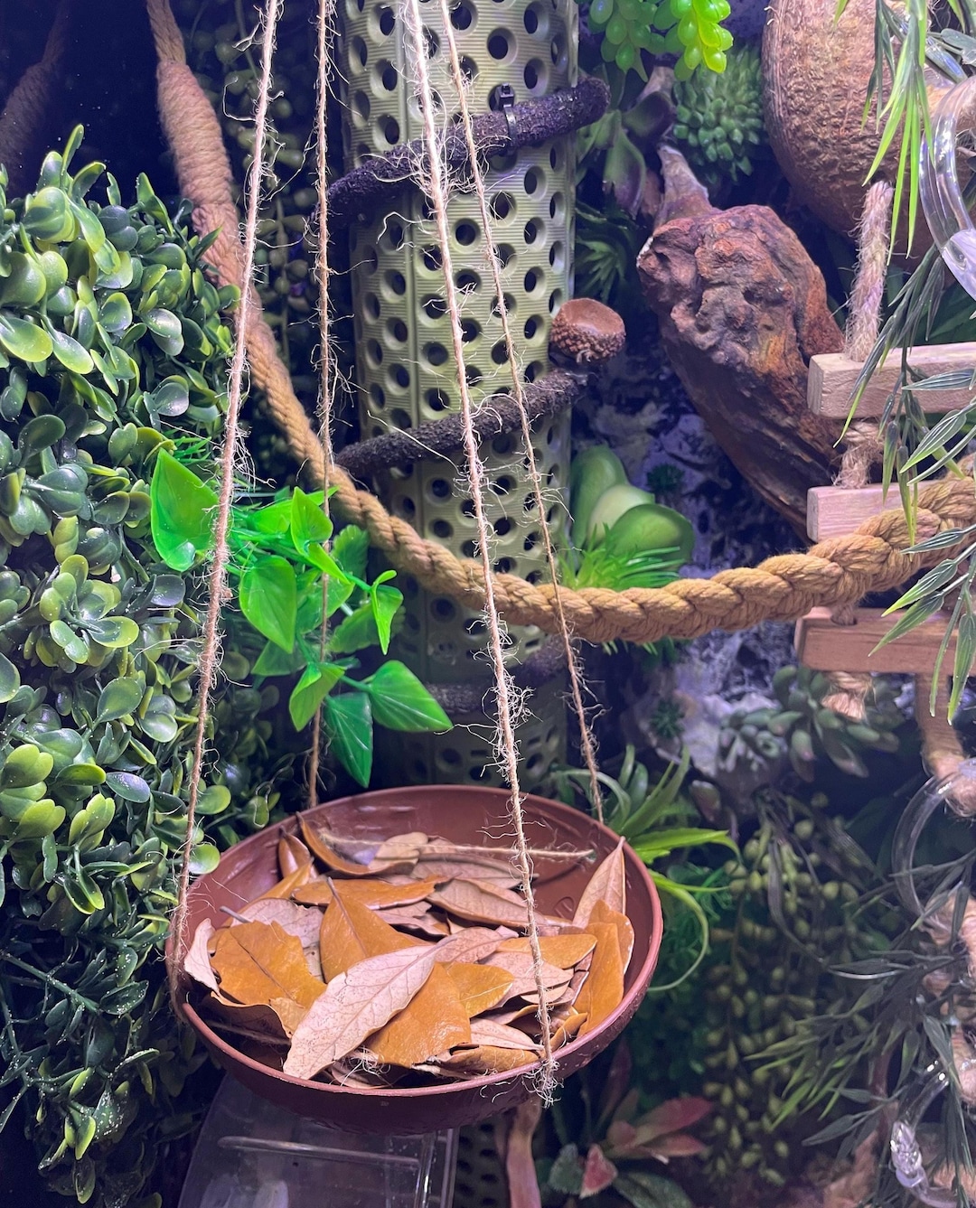 Hanging Coconut Pit Hermit Crab Accessories - Etsy