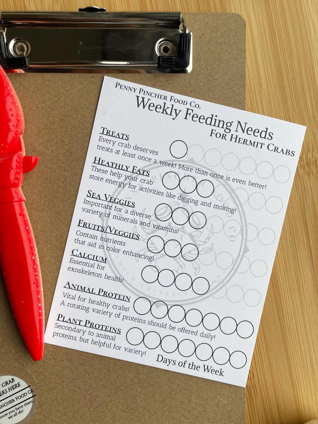 Hermit Crab Weekly Feeding Sheet *digital Download* - Etsy