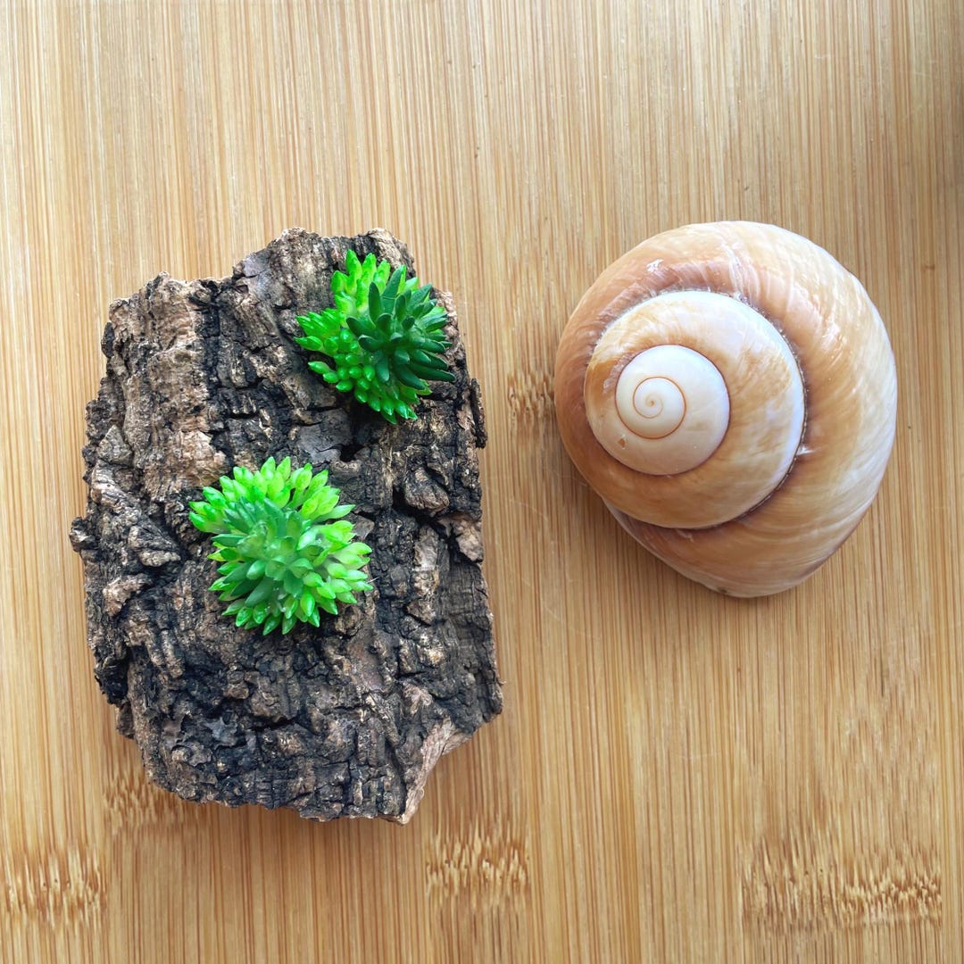 Custom Cork Climbers - Tank Enrichment - Etsy