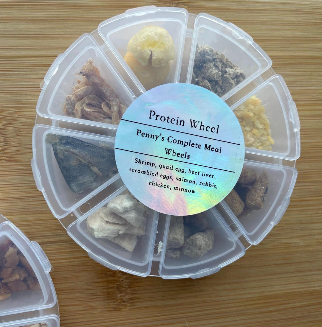 Penny Pincher’s Complete Meal Wheels - Protein - Etsy