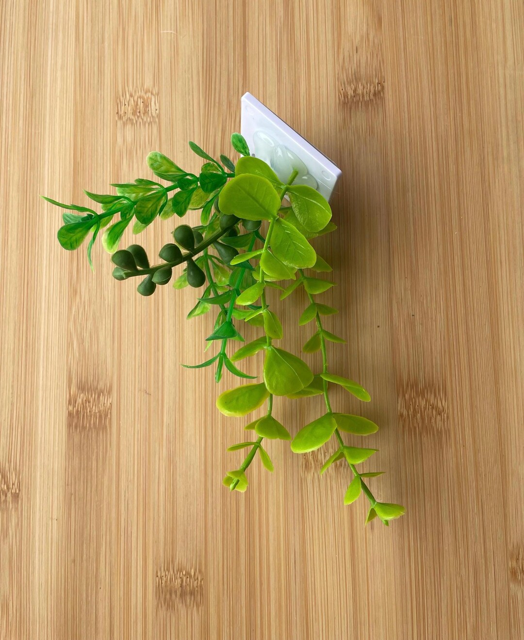 Custom Ceiling Climbers Tank Enrichment - Etsy