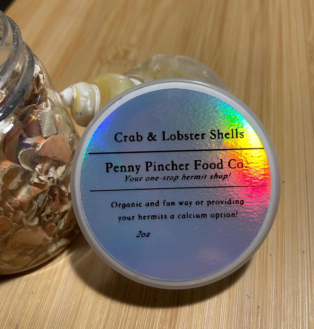 XL Crab & Lobster Shell - Hermit Crab Food - Etsy