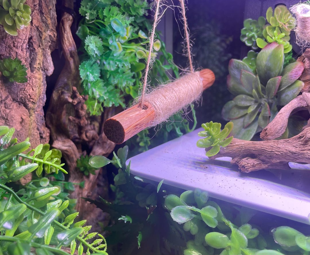 Custom Crab Swing - Etsy