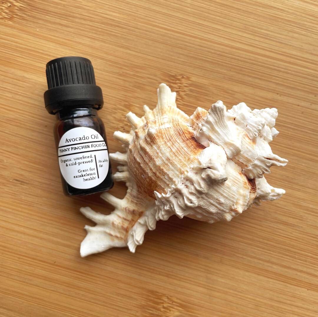 Avocado Oil (S) - Hermit Crab Oils - Etsy
