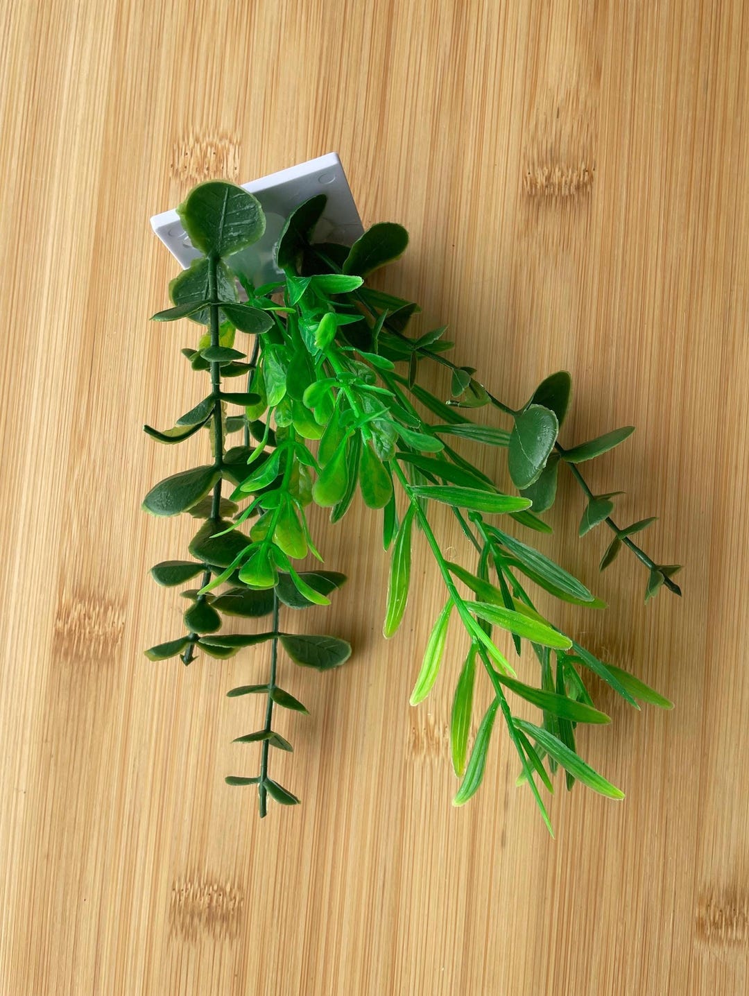 Custom Ceiling Climbers Tank Enrichment - Etsy