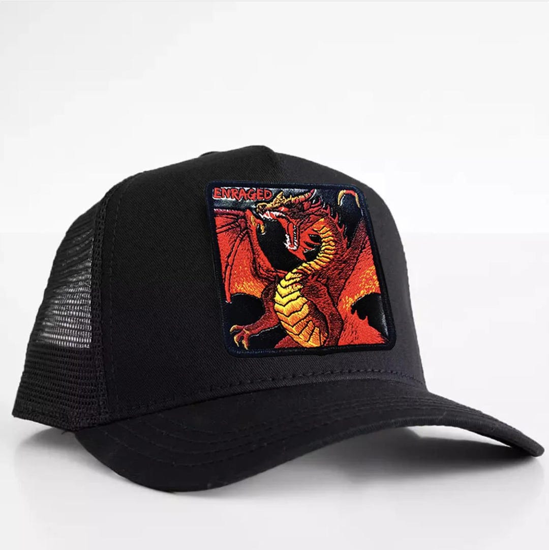 Fire Dragon enraged Trucker / Snapback Embroidery Hat / Cap Clothing - Etsy