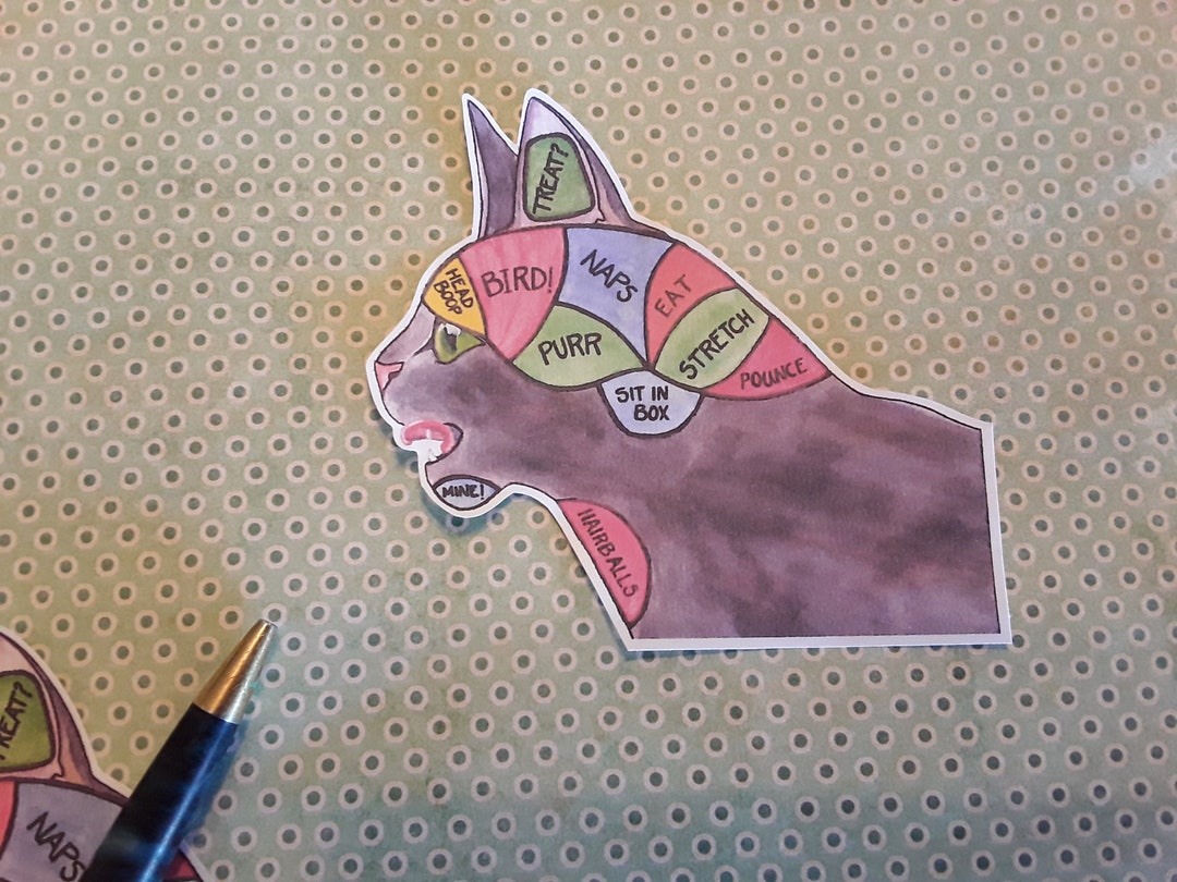 Cat Sticker, Phrenology Cat Sticker, Art Sticker, Sticker Art, Cat Art ...