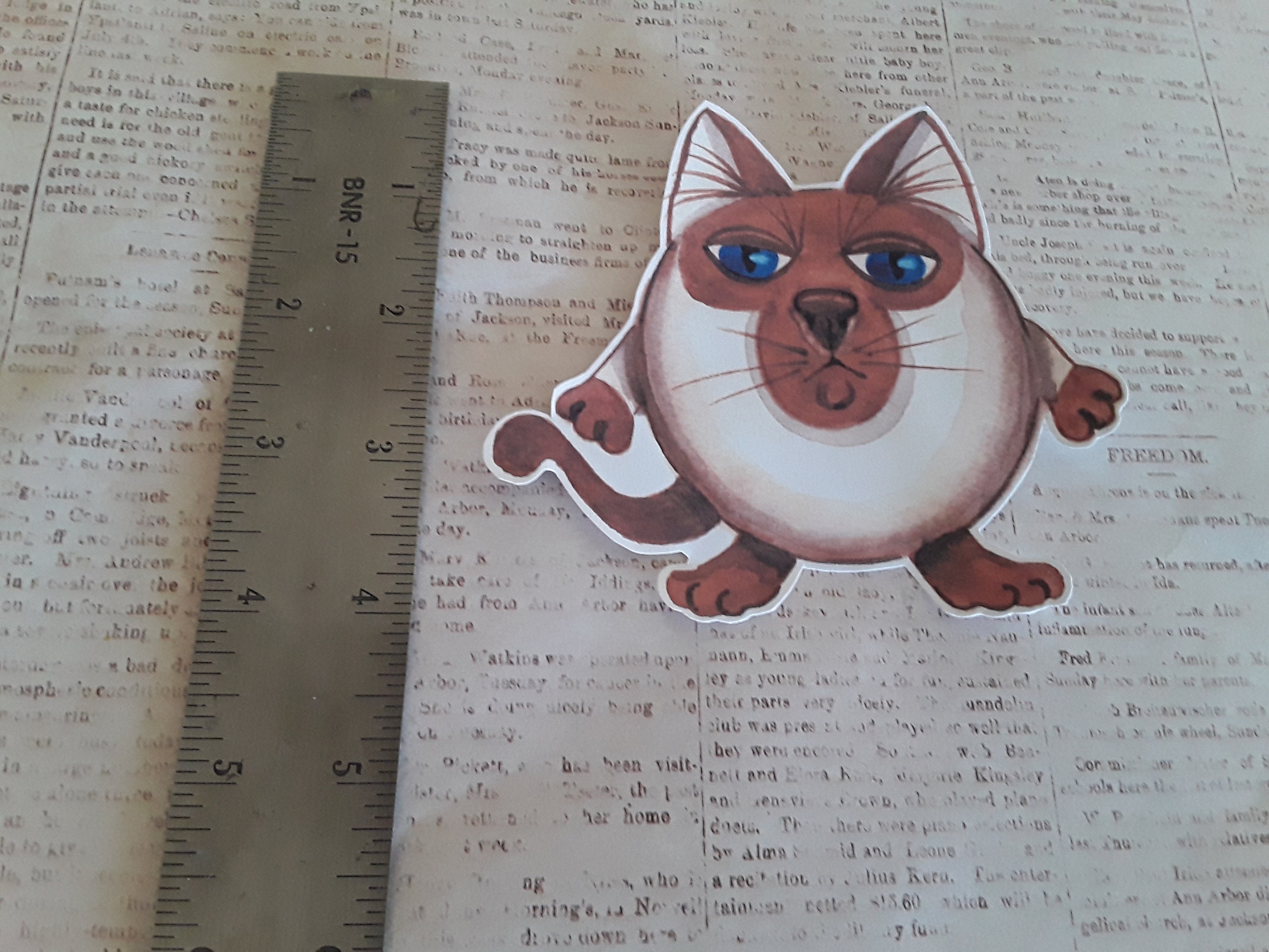 Cat Sticker, Large Car Sticker, Roly Poly Cat, Siamese Cat Sticker, Art ...