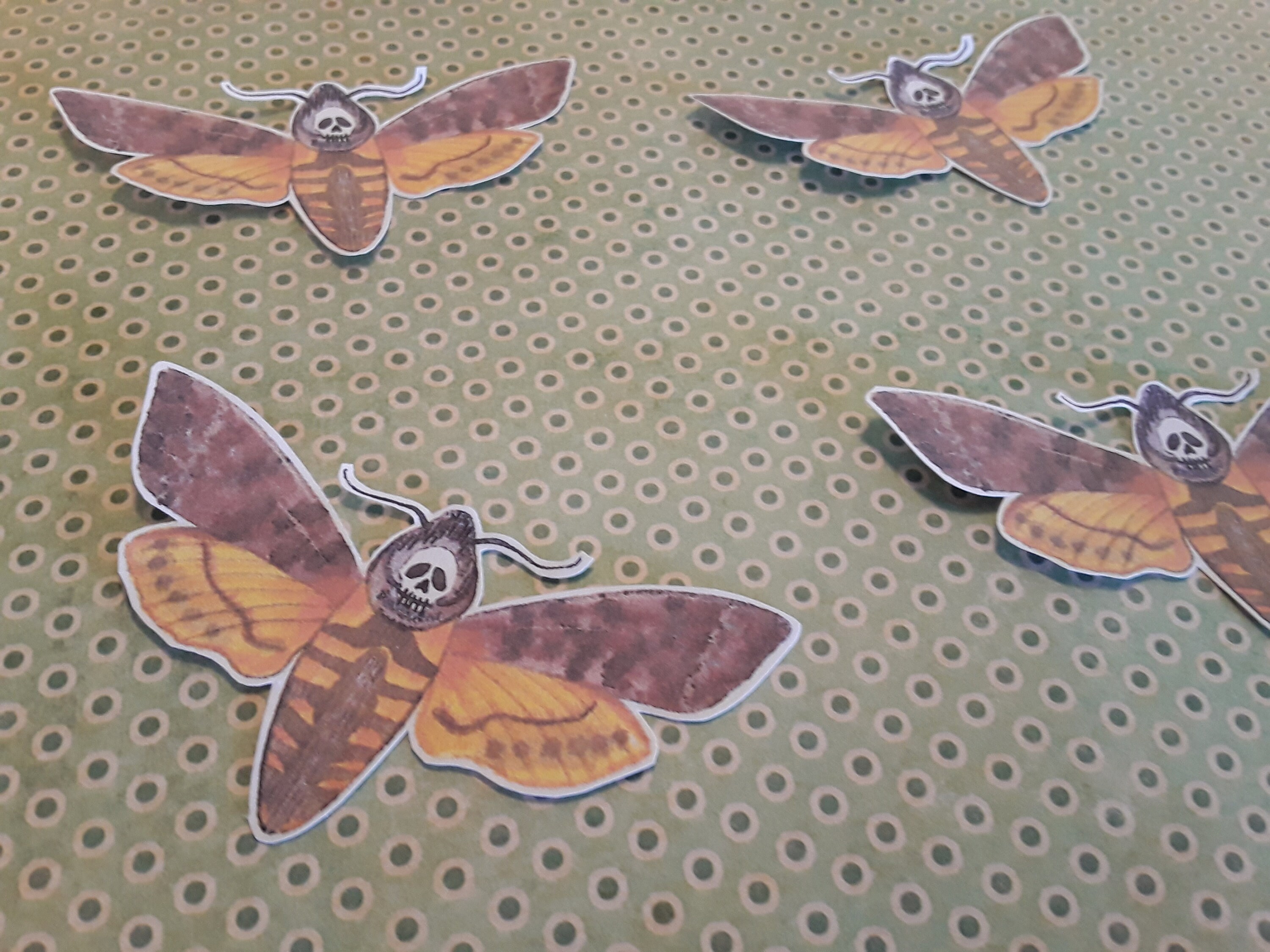 Sticker Set, Death's Head Moth Stickers, Moth Stickers, Art Stickers - Etsy