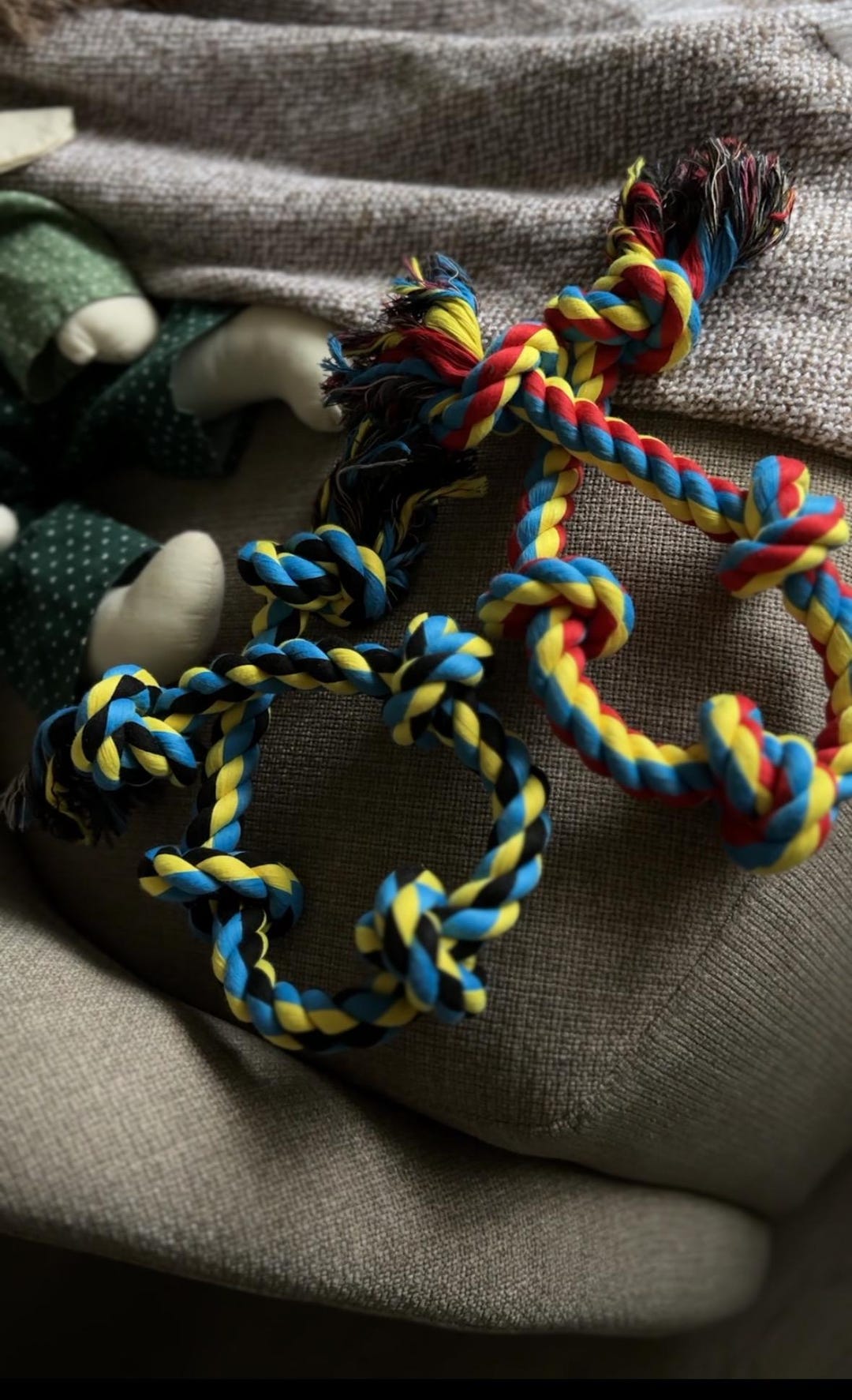 Rope Toy for Dogs of All Breeds. Bright Toy for Dogs for Indoor and ...