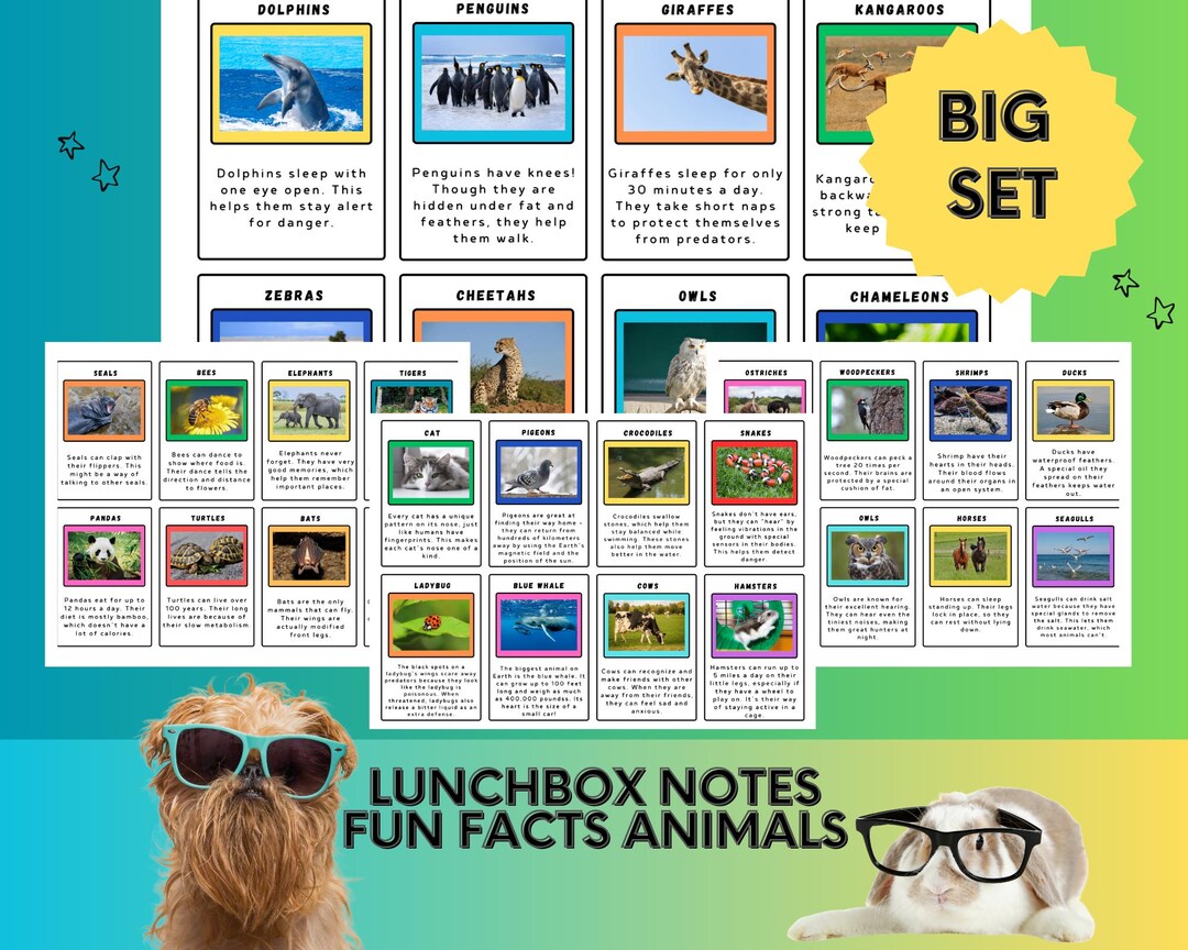 Animal Fun Facts Lunchbox Notes, Educational Lunchbox Cards for Kids ...