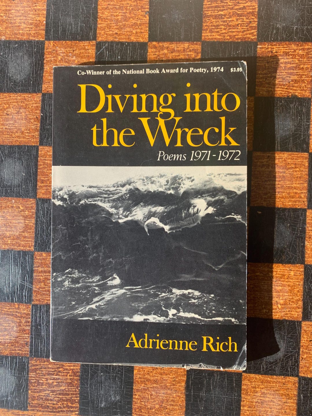 Diving Into the Wreck by Adrienne Rich (1973, Norton, First Edition) - Etsy