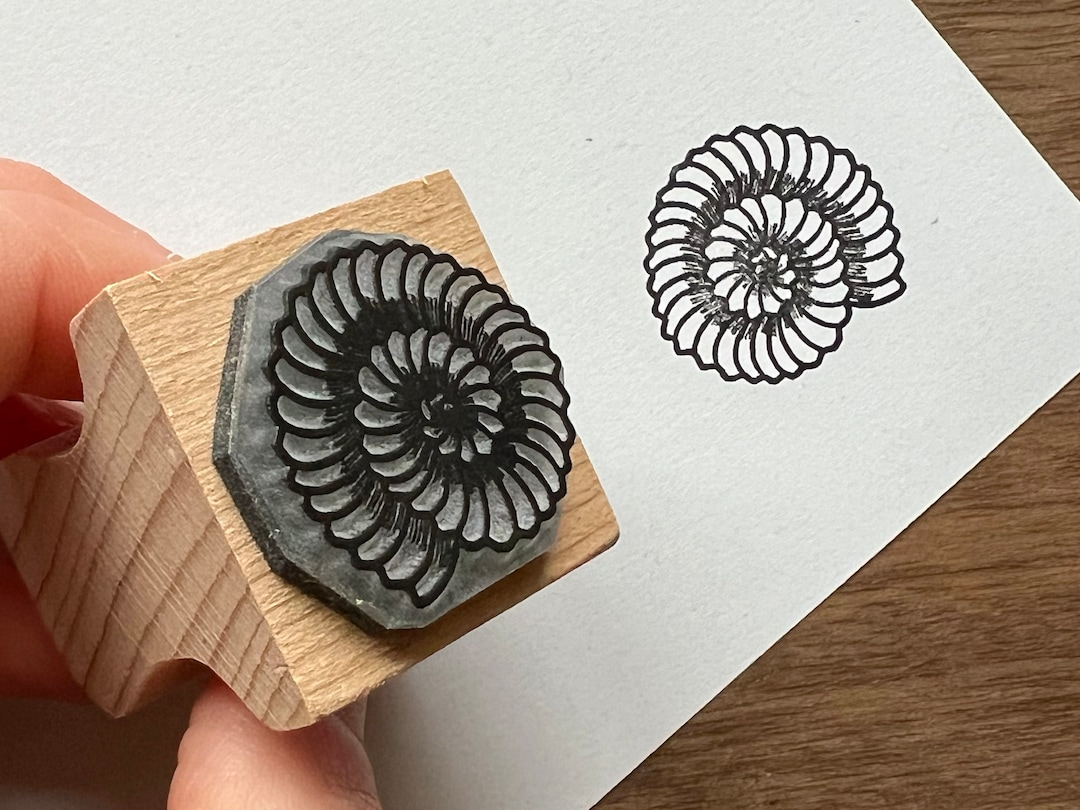 Rubber Stamp - Tiny Ammonite Fossil - Etsy